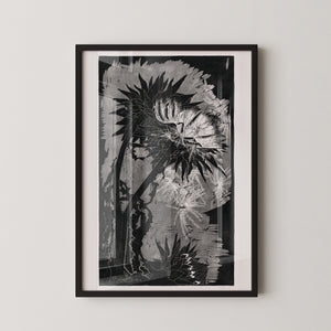 9 Art Prints